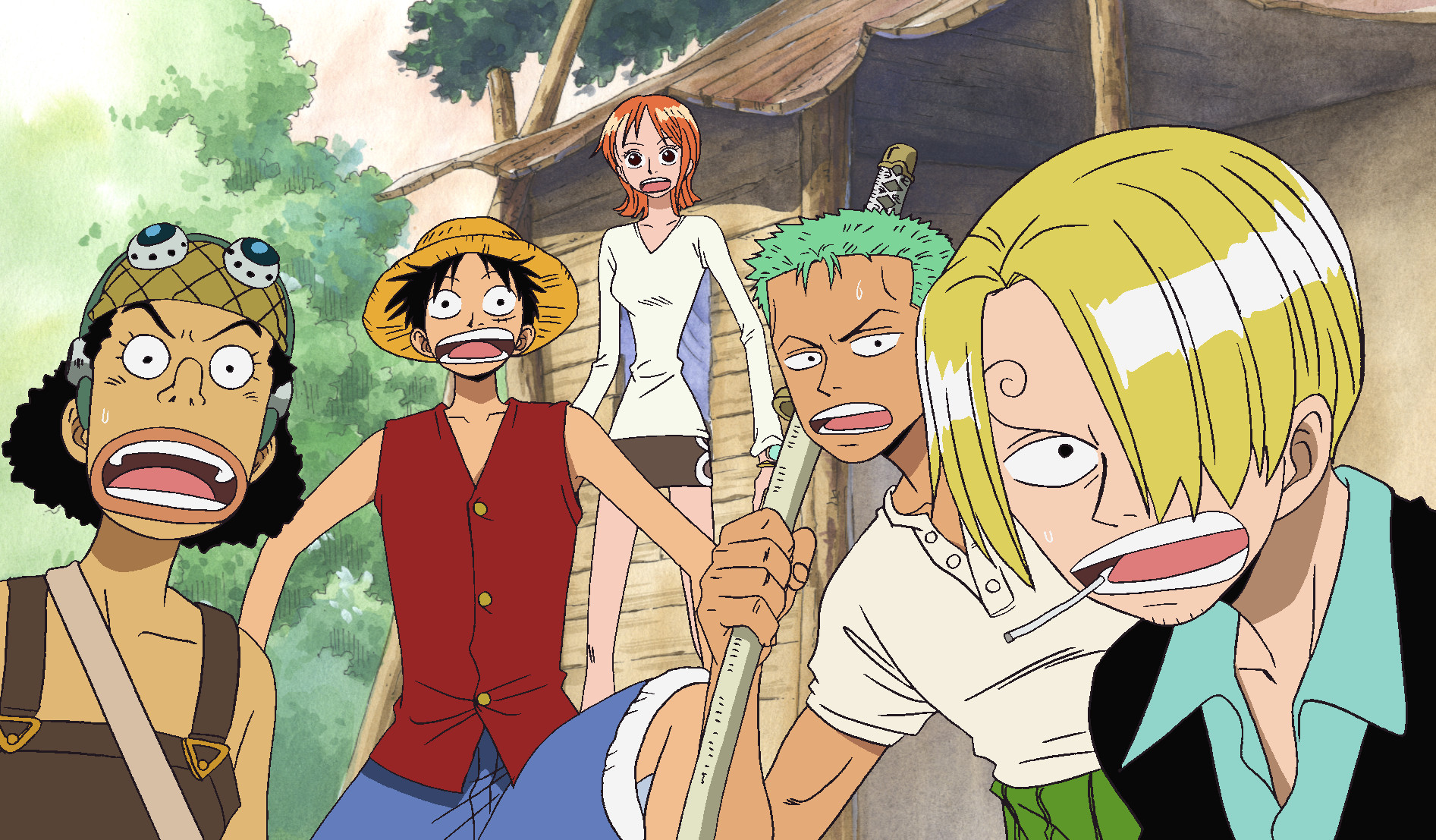 MOLESKINE ONE PIECE LIMITED EDITION NOTEBOOKS - Toei Animation